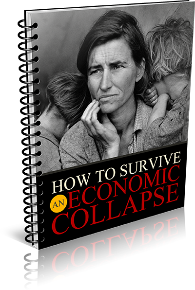 Pocket Farm Review - Pocket Farm™